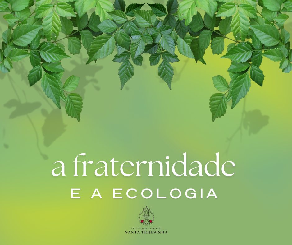 A FRATERNIDADE E A ECOLOGIA INTEGRAL - Catedral de Santa Teresinha